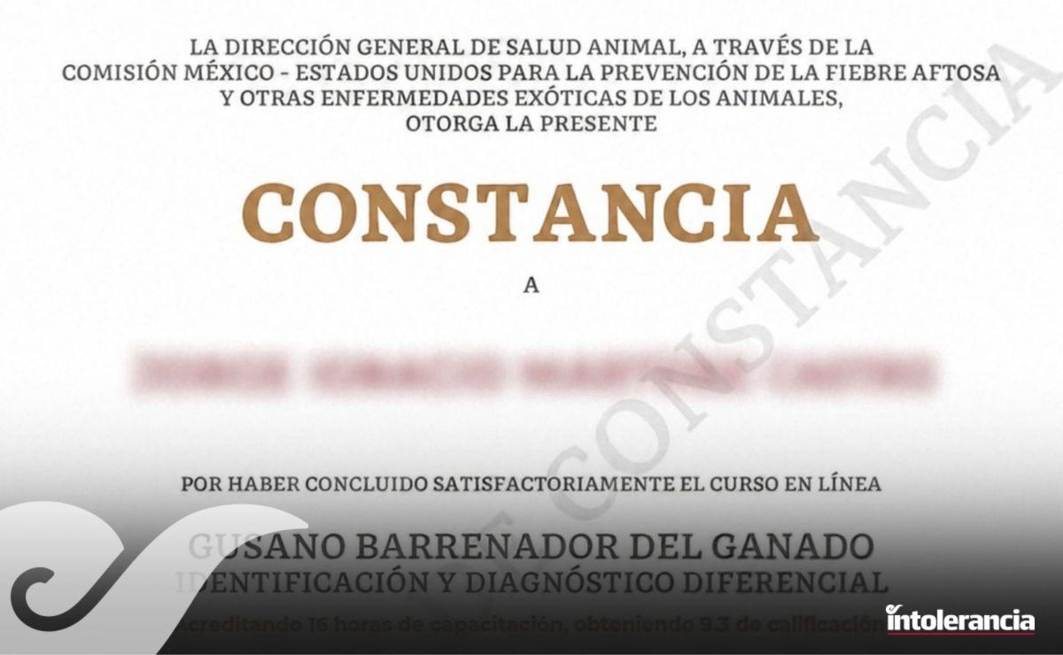 Capacitan a más de 230 personas para fortalecer la detección del gusano ...