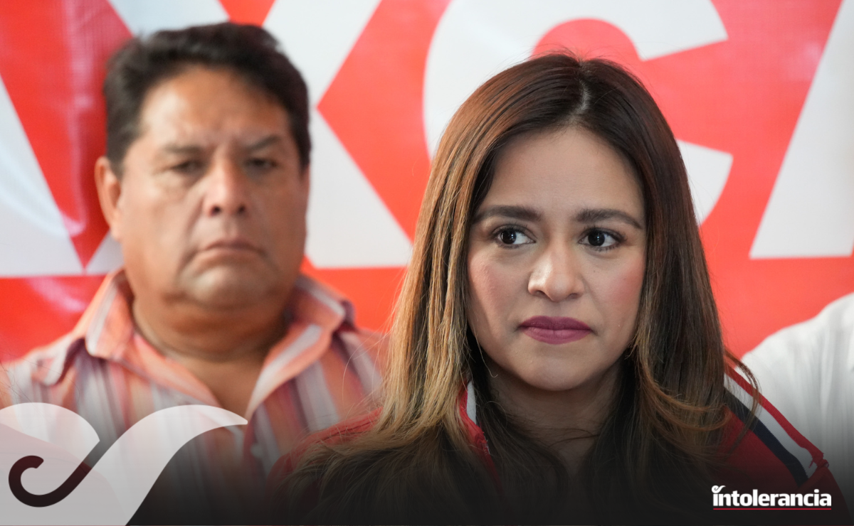 Xitlalic Ceja: Reforma electoral busca concentrar un poder absoluto