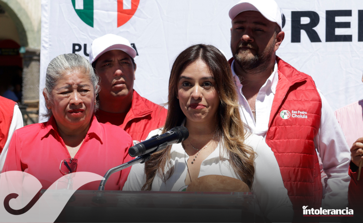 Xitlalic Ceja plantea ley “Ocho de Ocho” para endurecer requisitos de ...